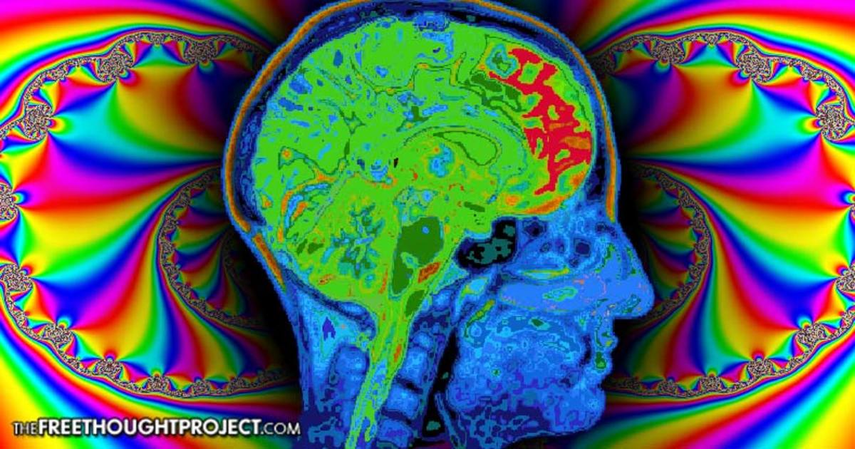 Report: LSD Can Replace Years of Depression & Addiction Therapy — In ...