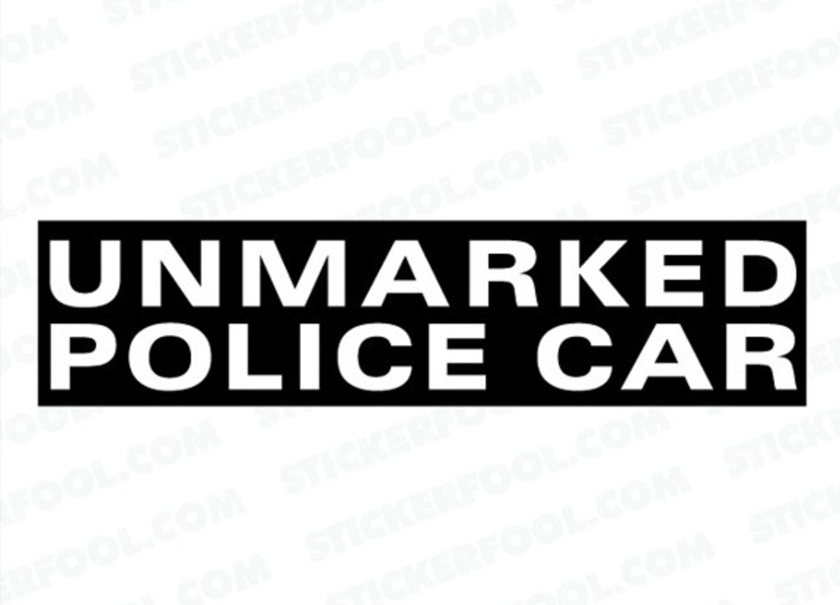 Woman Pulled Over for Bumper Sticker Sues Police - The Free Thought Project