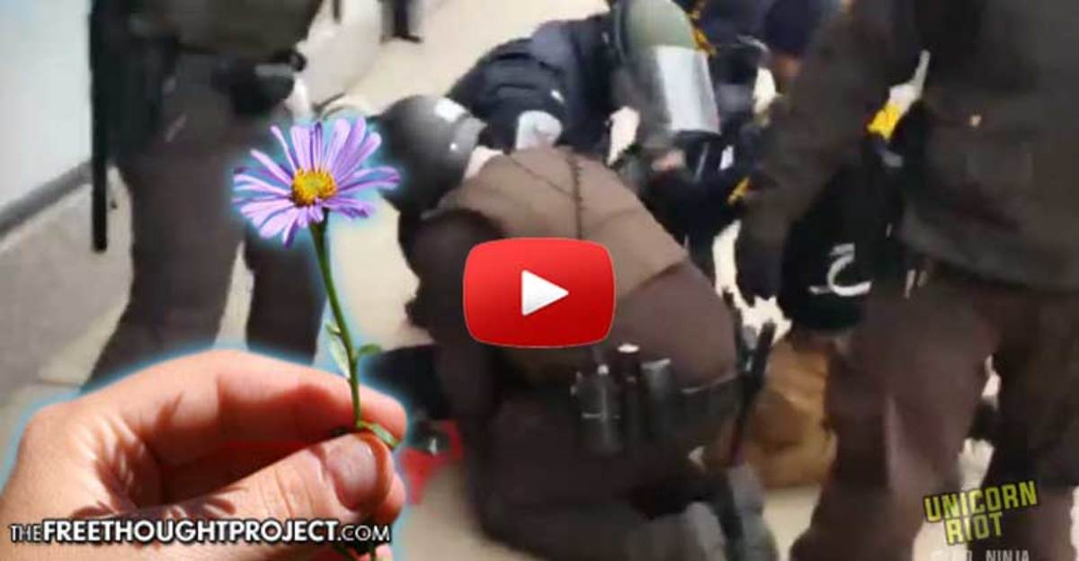 VIDEO: Veteran Severely Beaten by Multiple Riot Cops at DAPL After ...