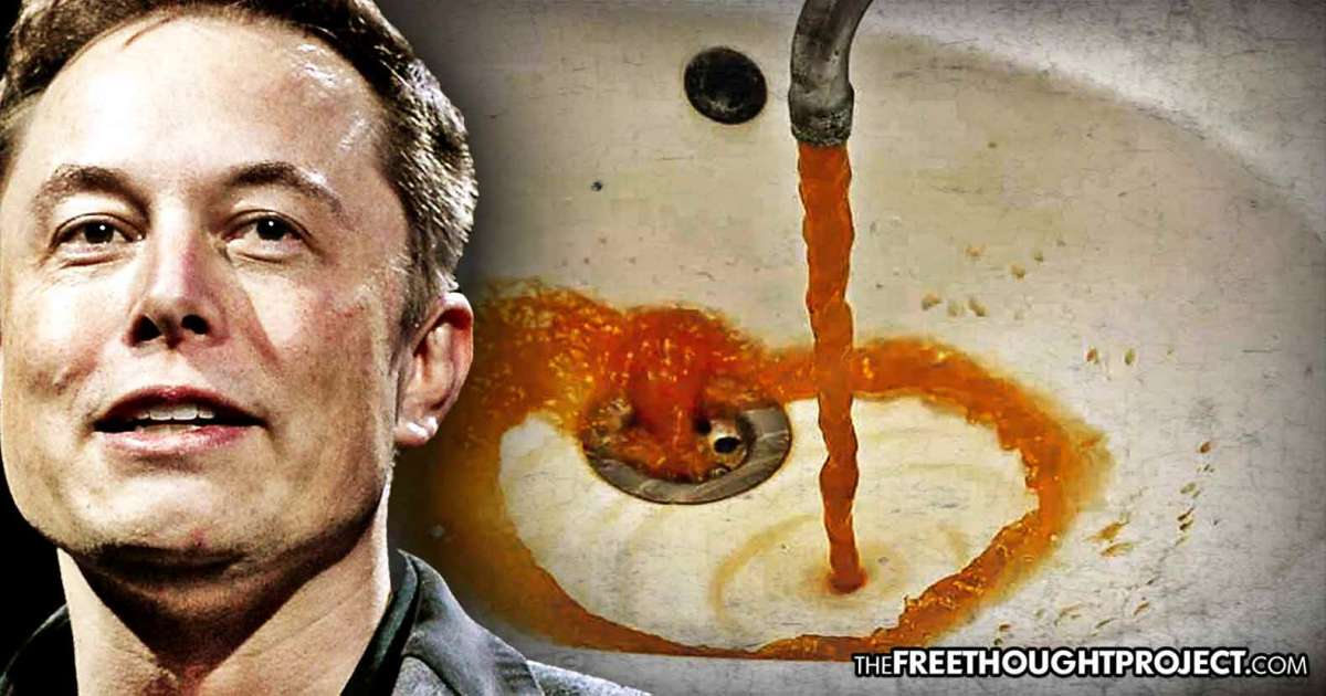 As Gov’t Fails Citizens, Elon Musk Promises to Fix Lead Contamination ...