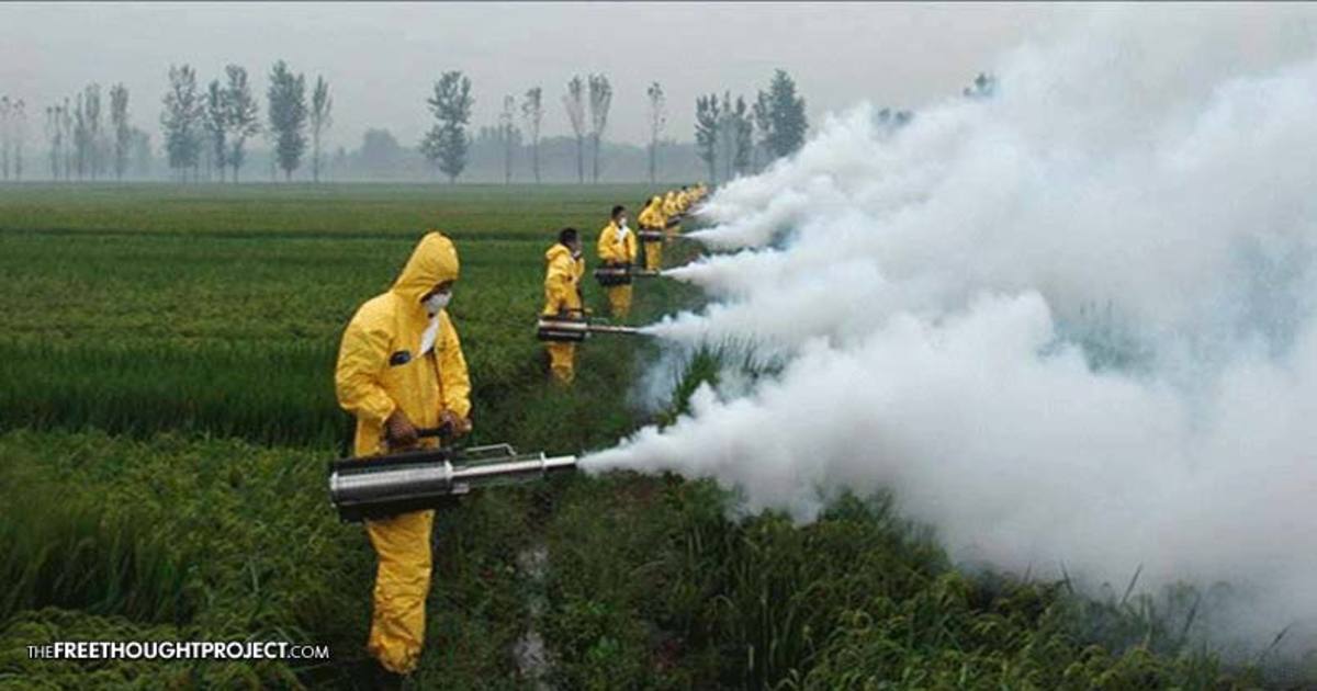 Monsanto Triggers Massive Crop Losses, Illegal Herbicide Spraying to ...