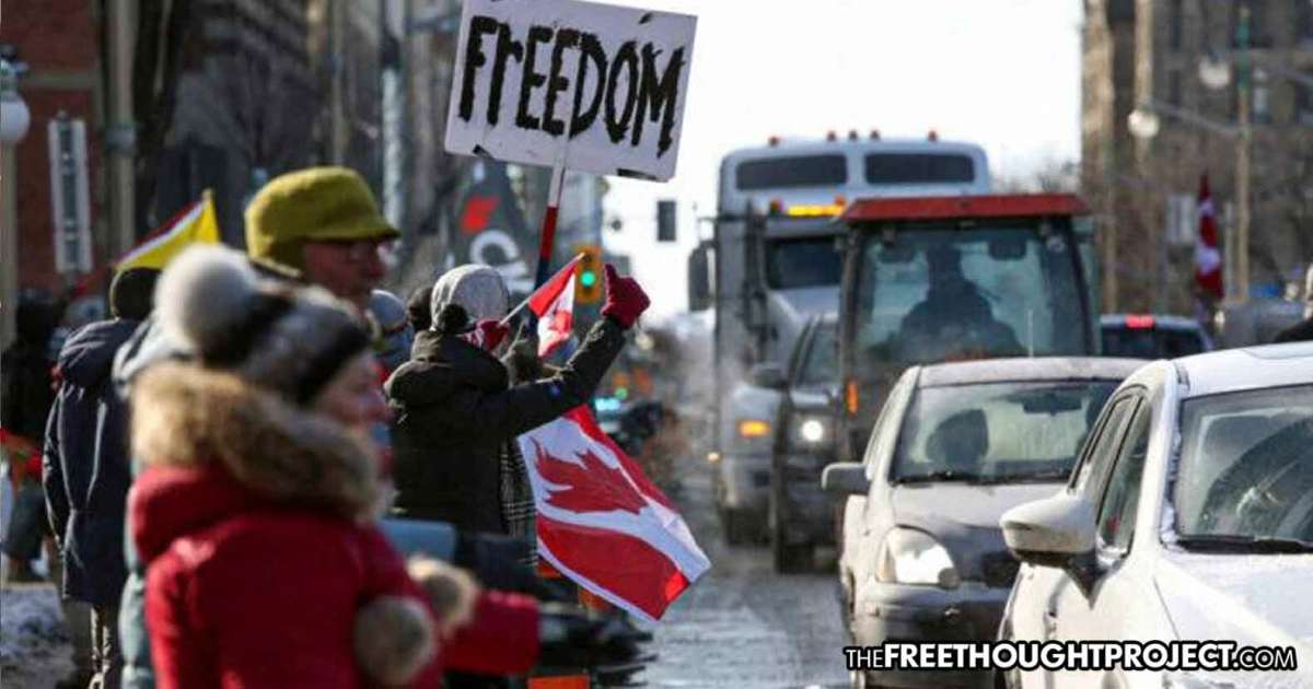'Freedom Convoy' Protests Are Spreading Throughout World As Truckers ...