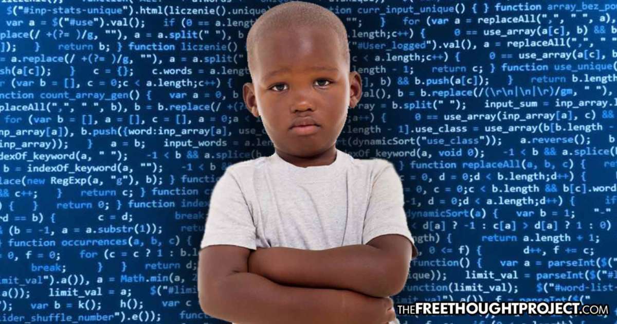 Algorithms Being Used to Determine if the State Should Take Kids from ...
