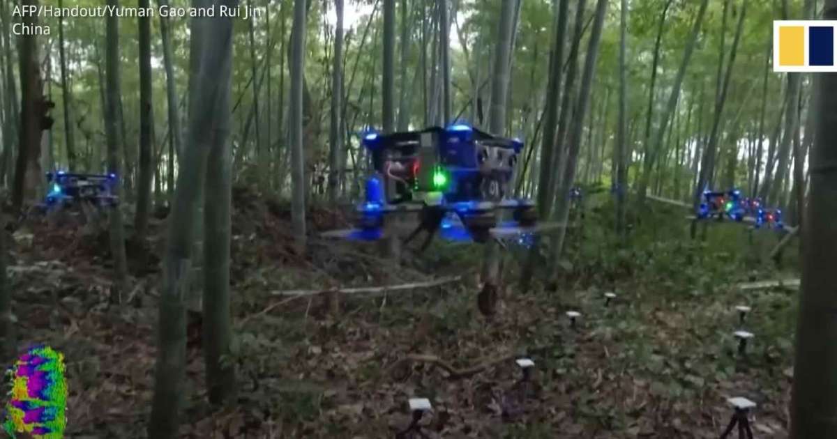 WATCH: Autonomous Chinese Drone Swarm Flies Through Forest While ...