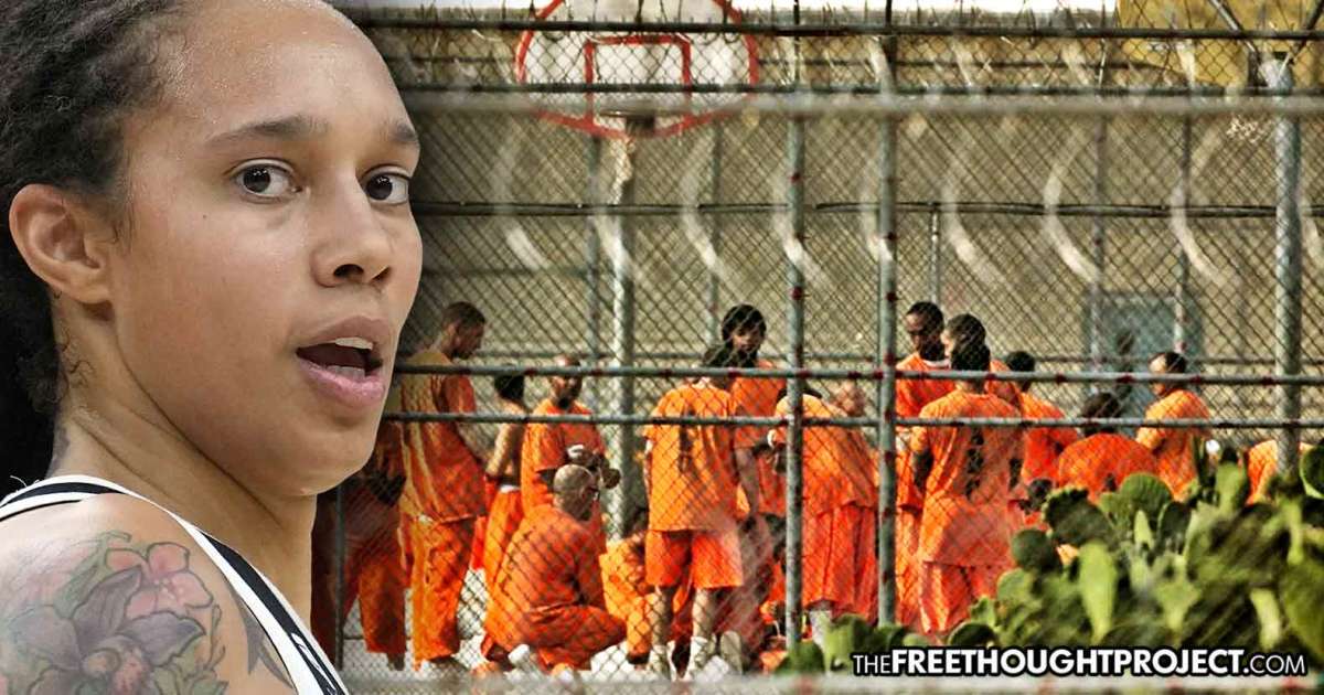 US Willing To Release Russian War Criminal for WNBA Player as People ...