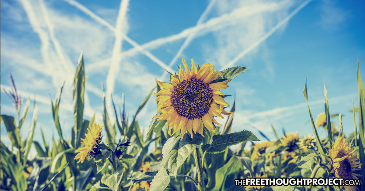 White House Quietly Reveals 5-year Plan to Spray Particles in the Sky ...